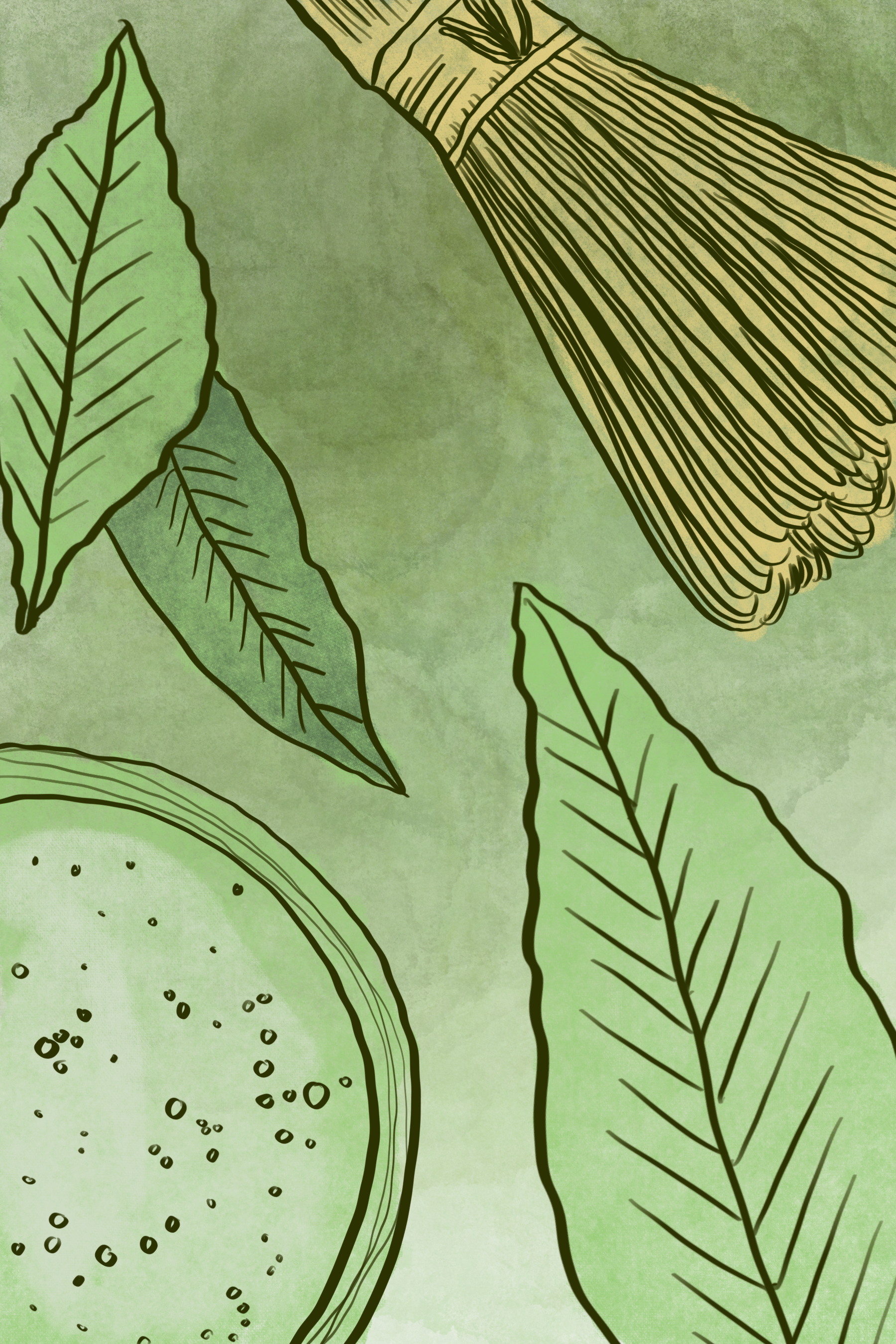 Illustrations - Emily Rea