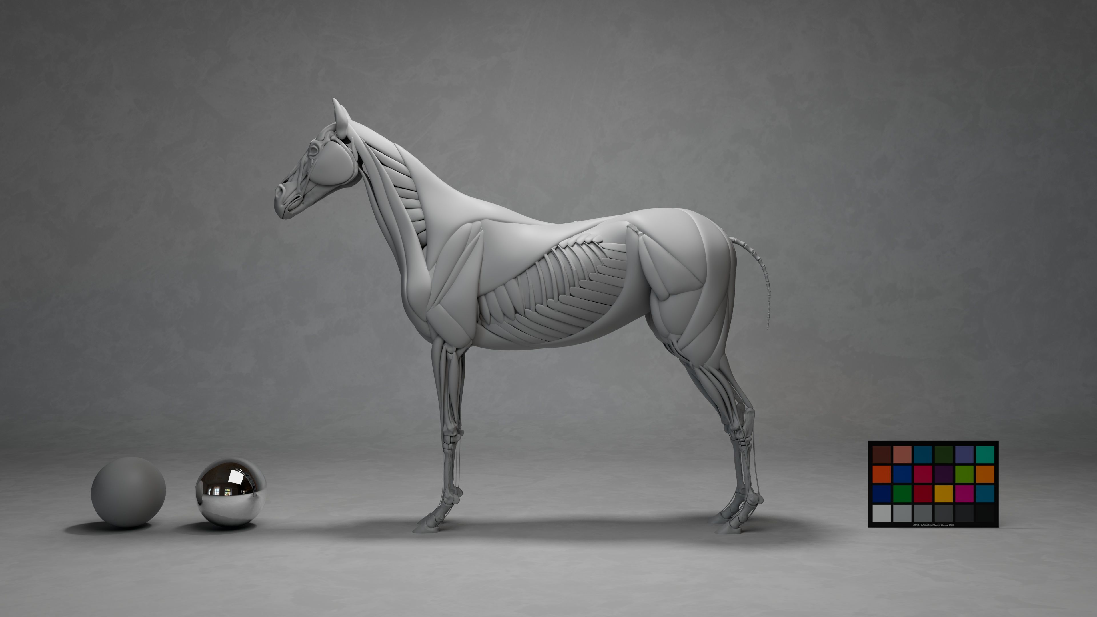 VFX - Creature Modelling - Jonathan Musso