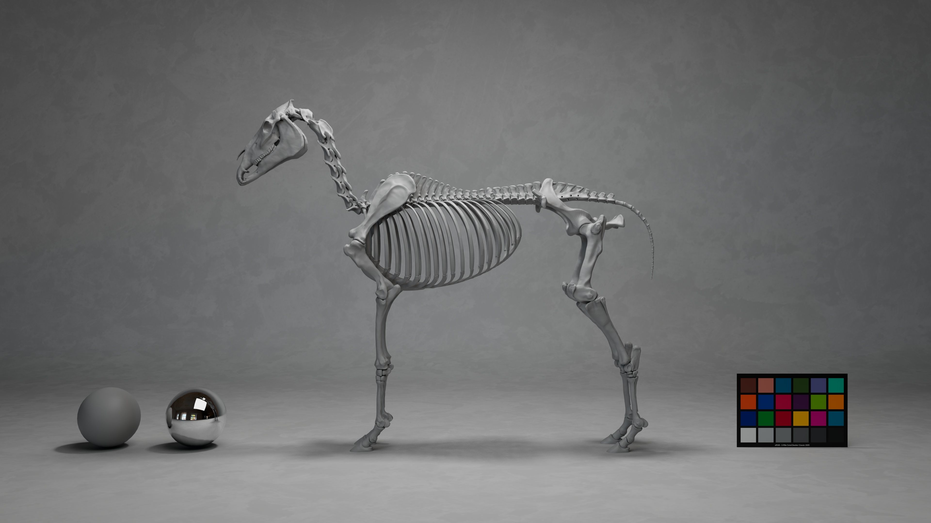 VFX - Creature Modelling - Jonathan Musso