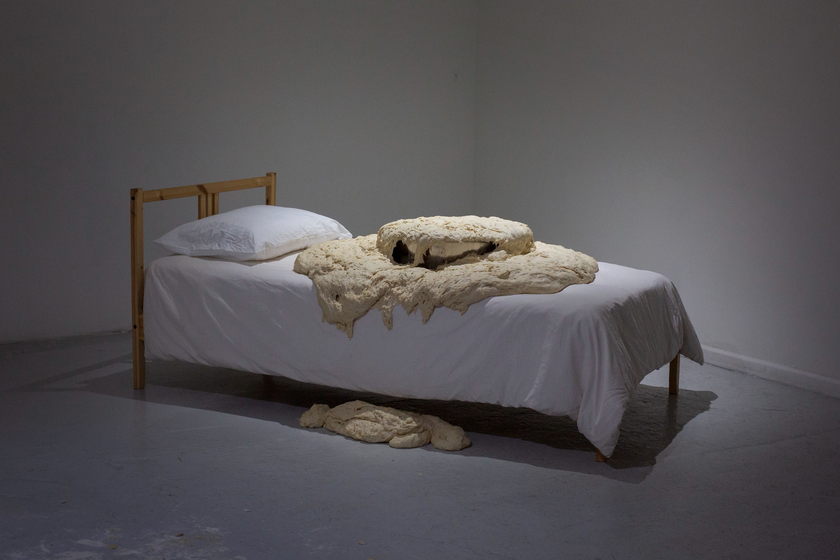 News - Santina Amato