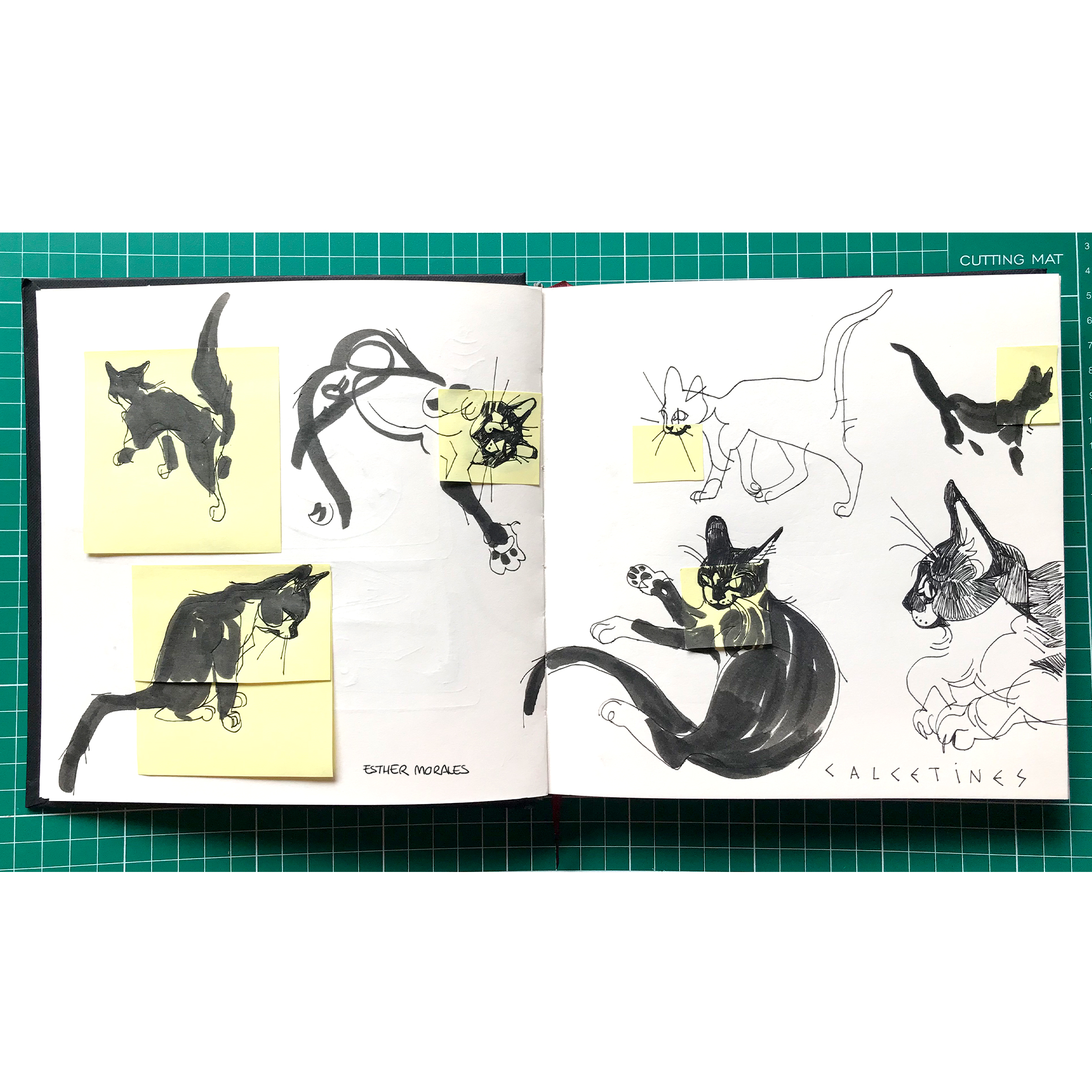 Sketchbook - Esther Morales