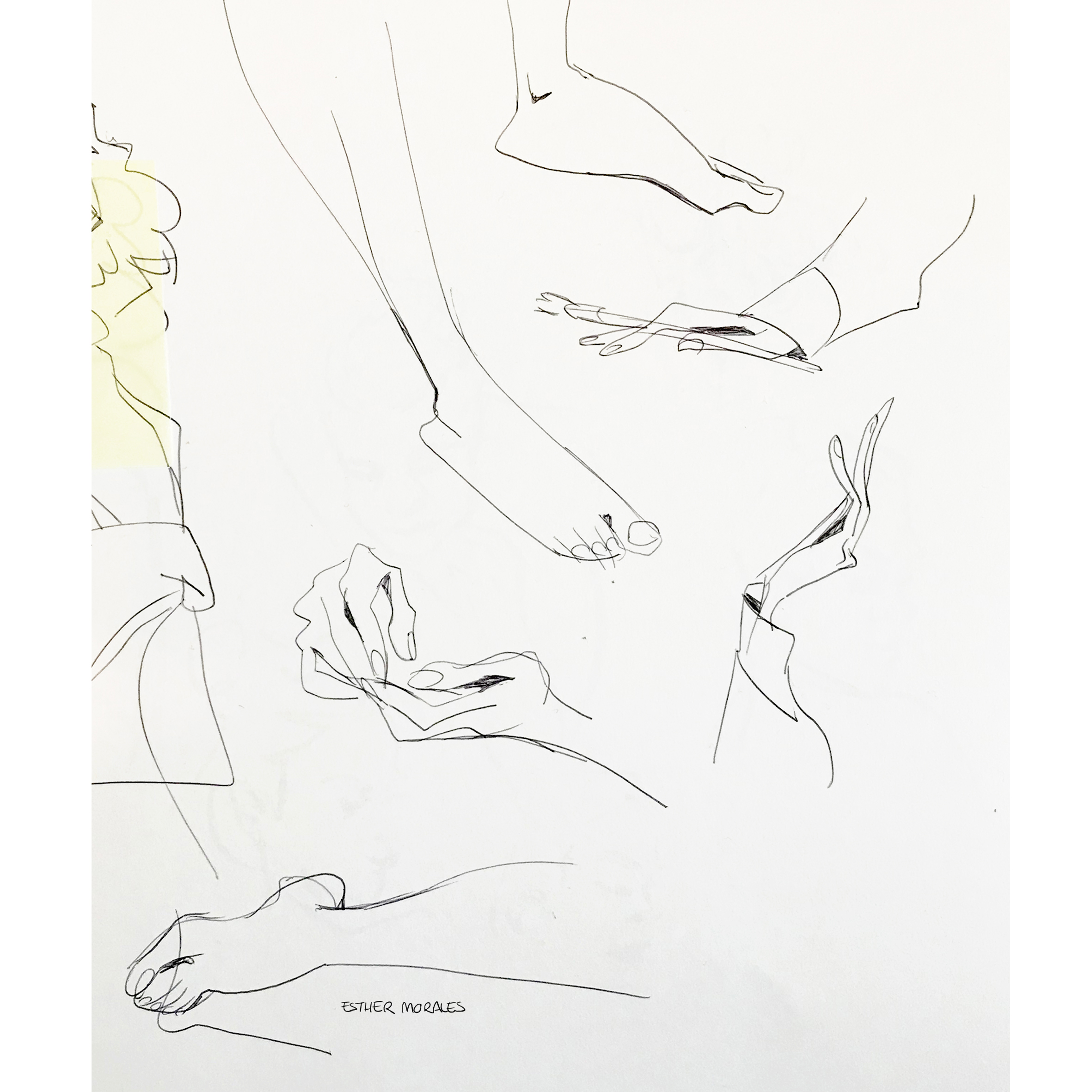 Sketchbook - Esther Morales