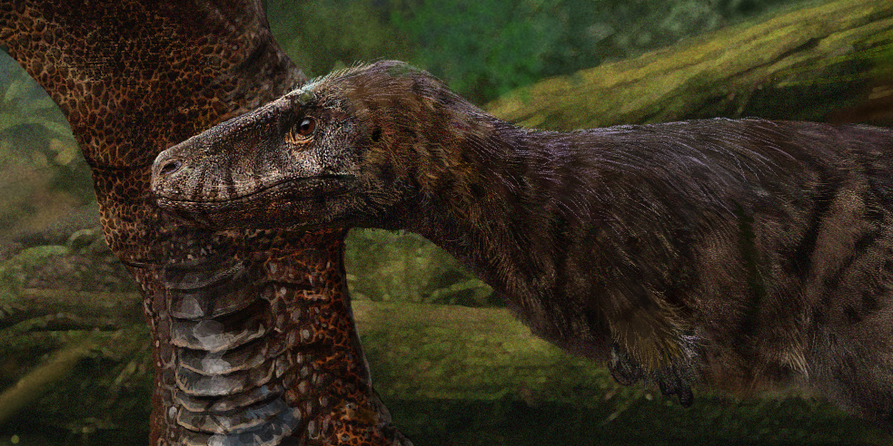 Tyrannosaurus Rex Family - The Art of Lindsey Wakefield