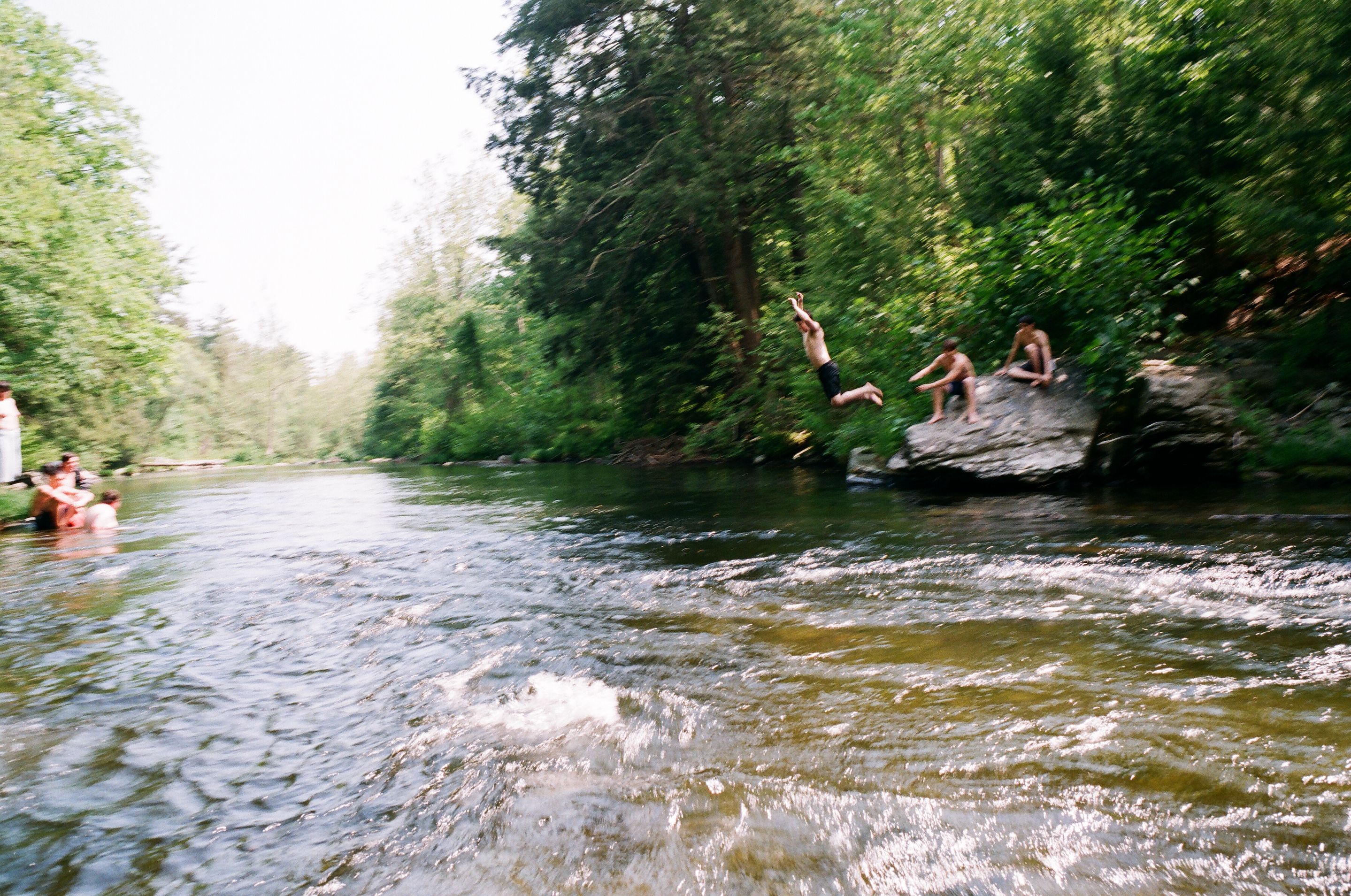 WILKS REBBE - Nechi Blokh